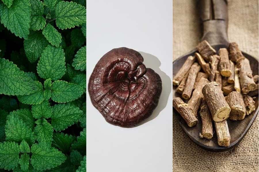 How To Lower Testosterone (Temporarily) Effectively | HRTGuru Clinic