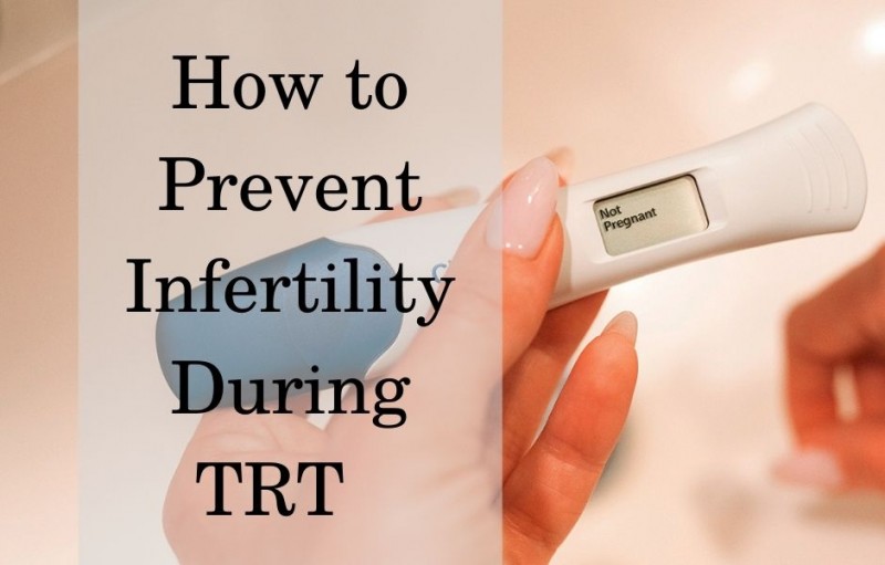 TRT Effects on Fertility and Sperm Count | HRTGuru